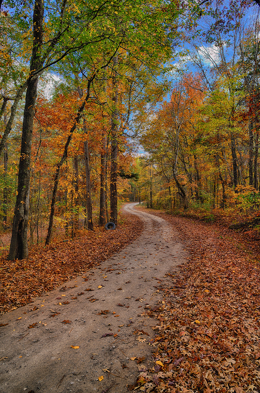 FIne Art Nature Photography from the Norrell Gallery